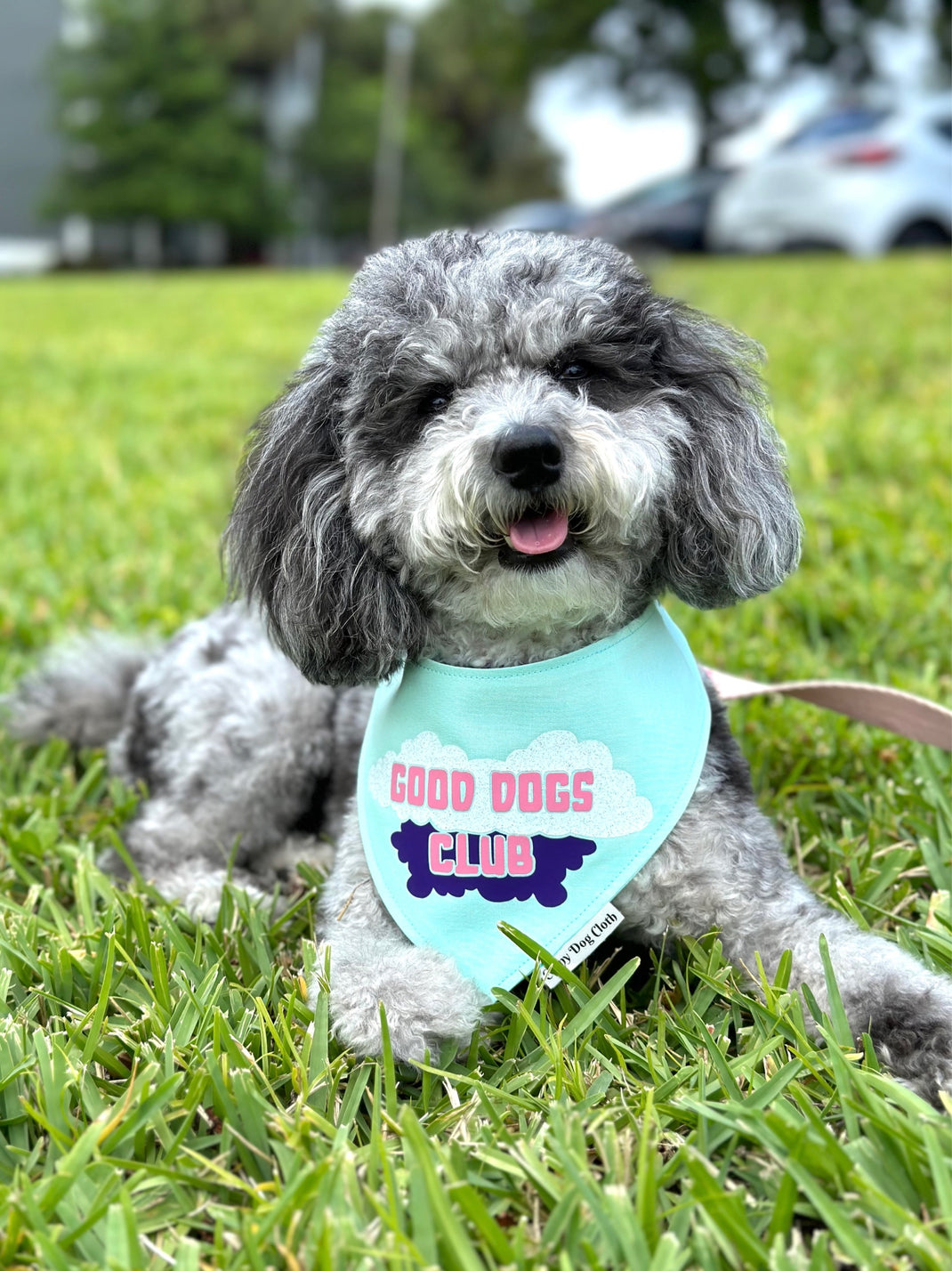 Corny Dog Cloth